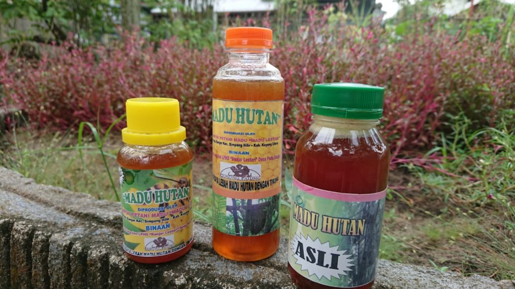 Conserving Forests using Honey Bees Conserving Forests using Honey Bees