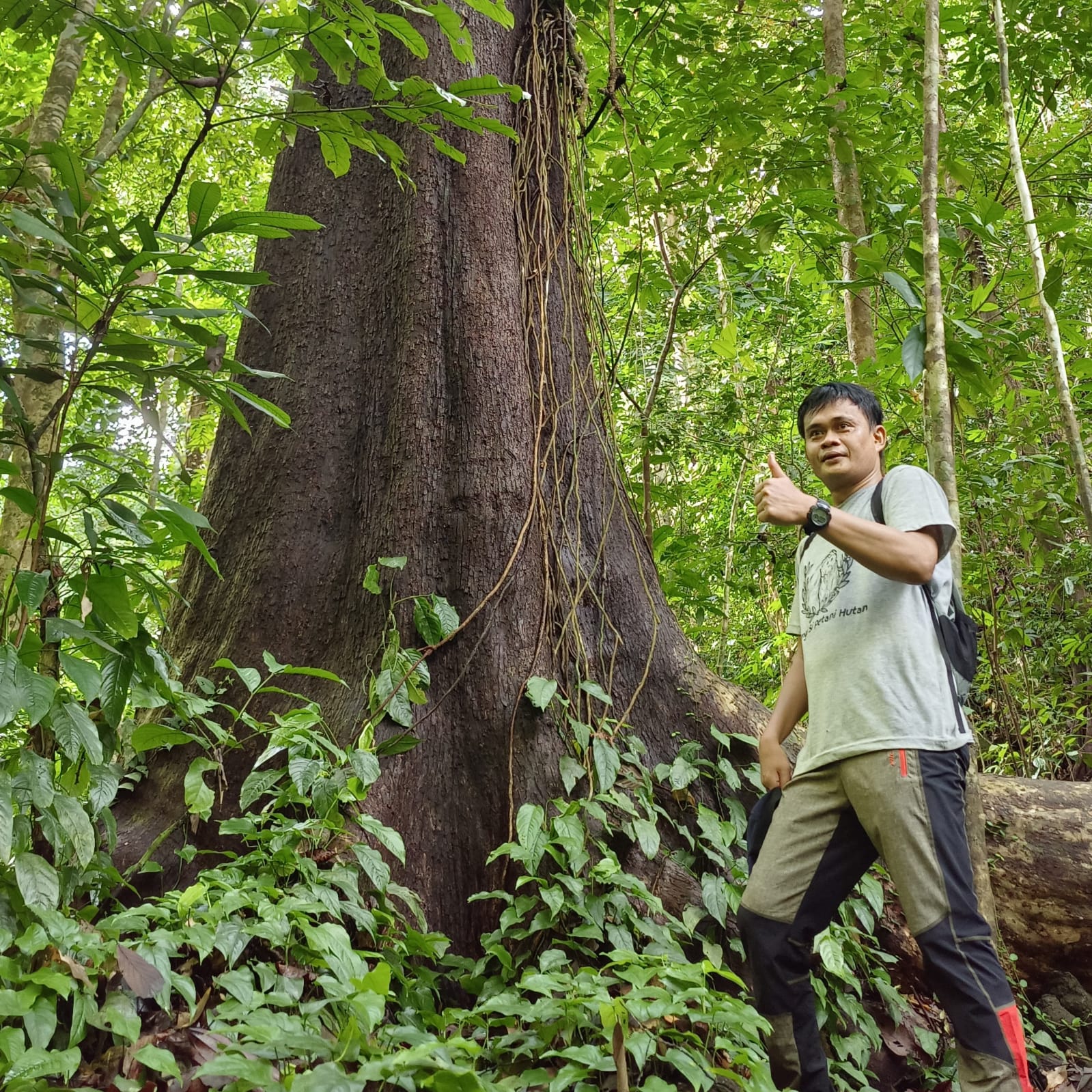 Conservation Staff